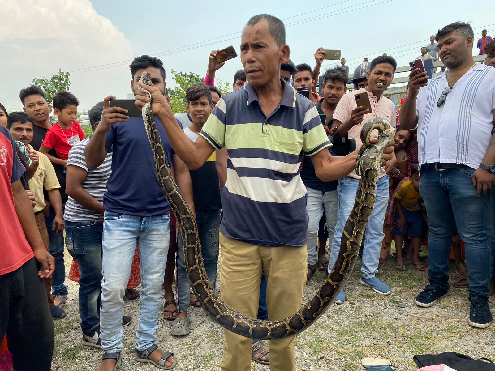 6 feet long python rescued from Fulbari - Siliguri Times | Siliguri ...