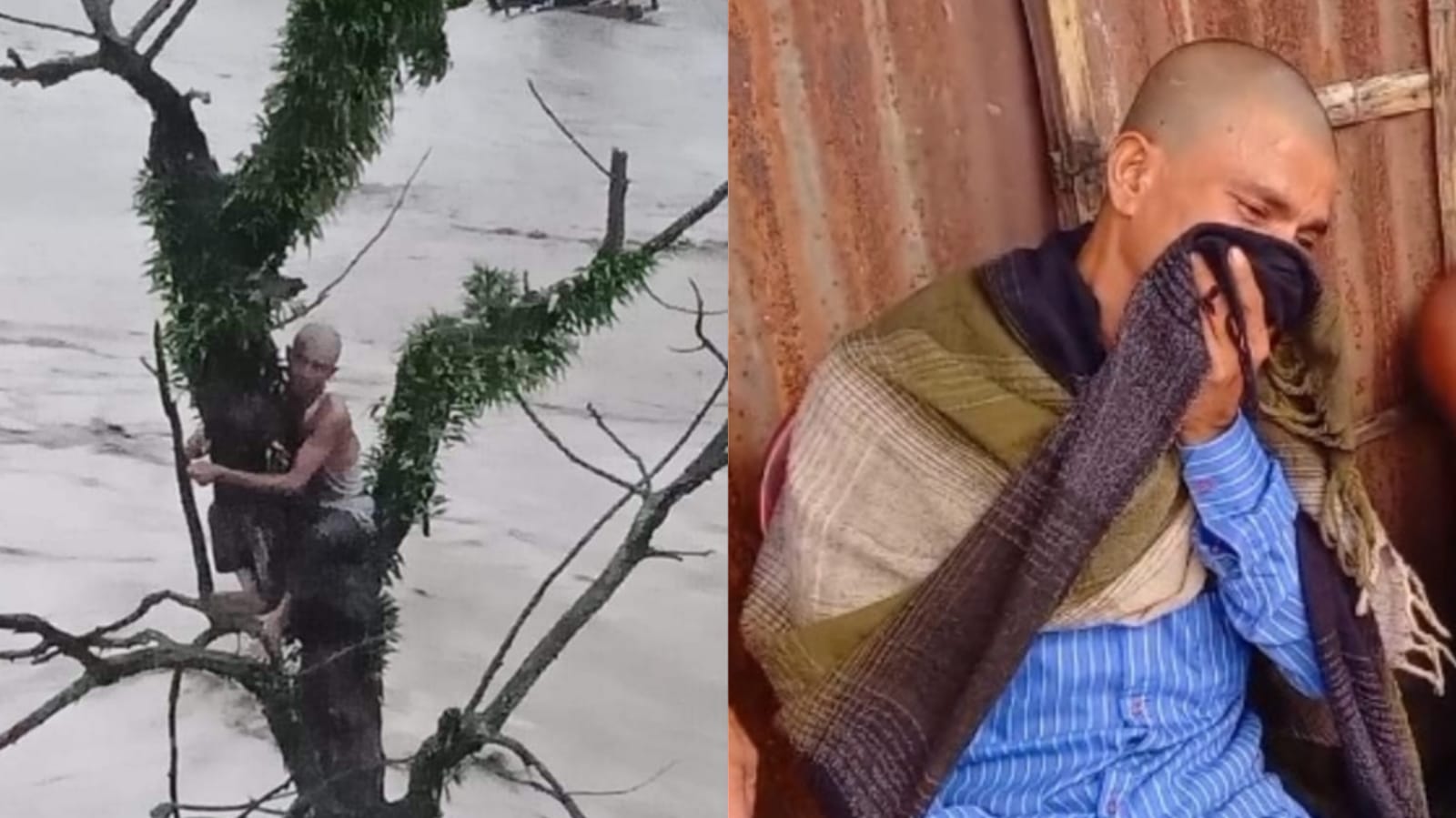 Man survives Sikkim flood by clinging onto a tree overnight, loses all ...