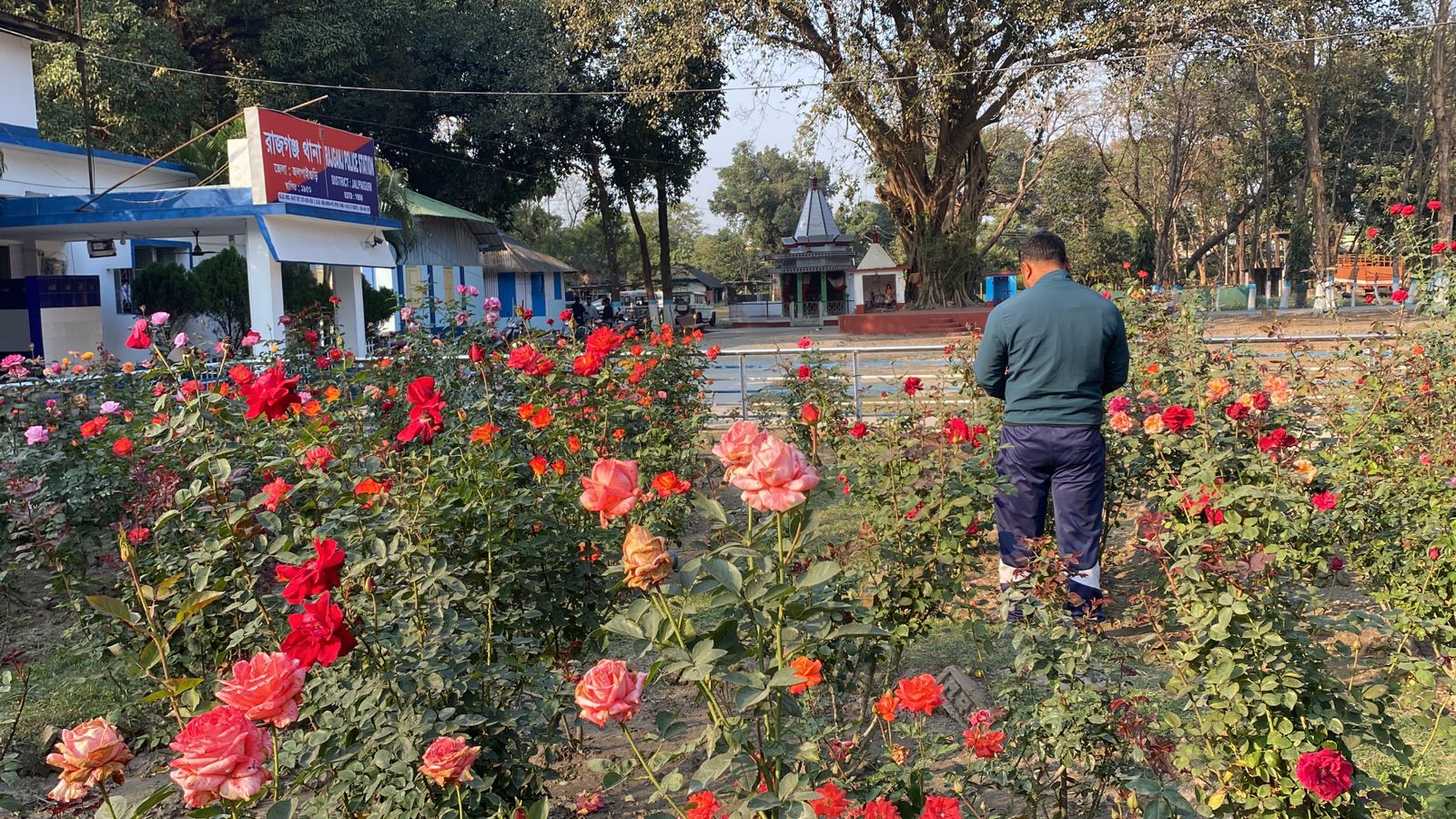 Rajganj police station’s appealing vibe with several varieties of ...