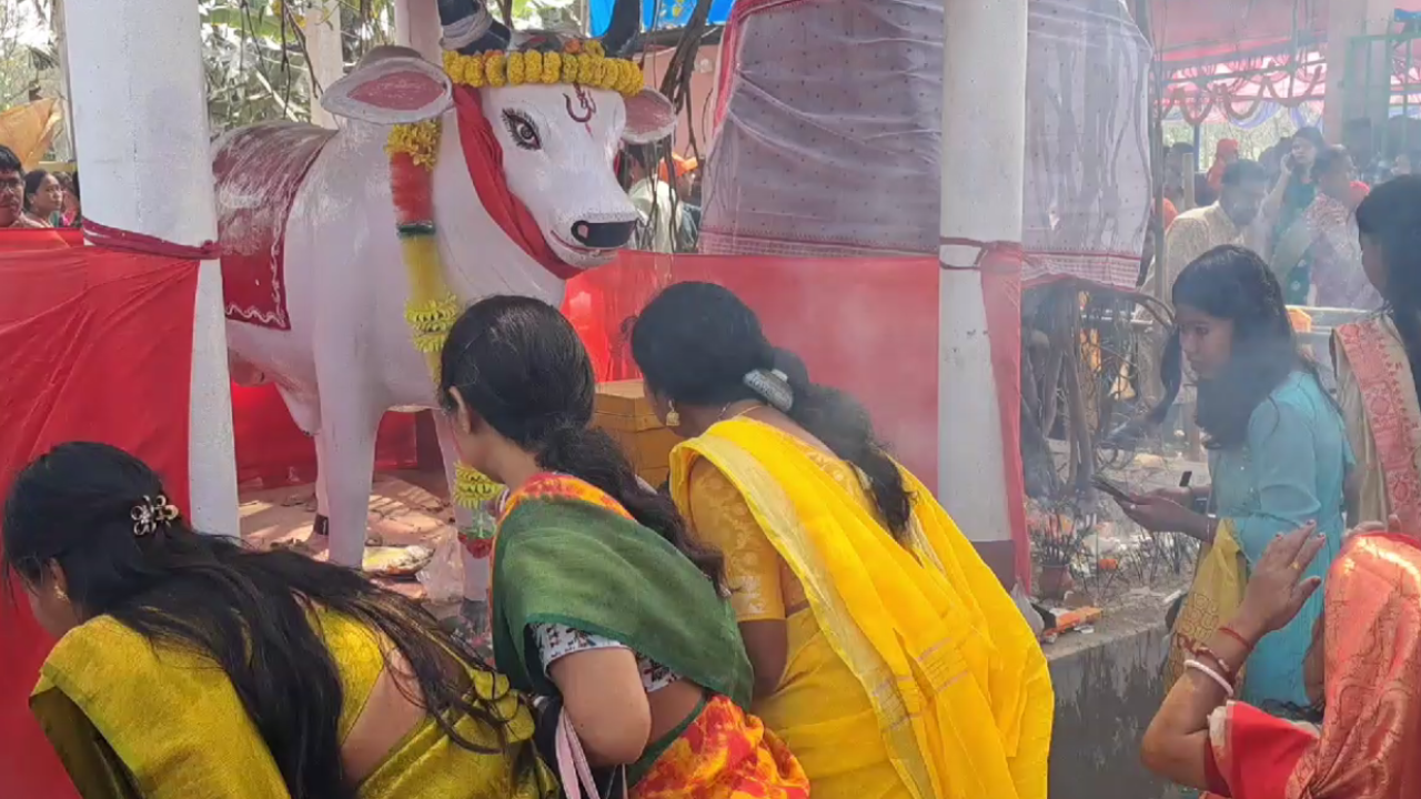 Maha Shivratri: Devotees throng Bhadreswar Temple in Rajganj for 67th ...