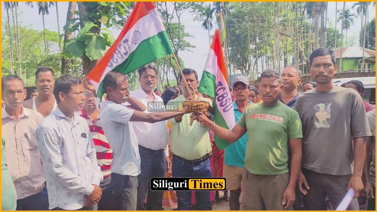 300 tea workers join INTTUC in Rajganj - Siliguri Times | Siliguri News ...
